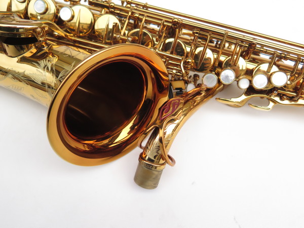 Cadences | Hummingbird America