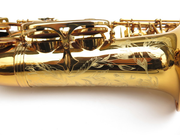 Cadences | Hummingbird America